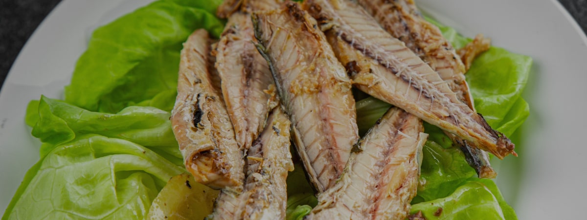Other Fish: Mackerel, Melva, Sea Bass & More | Ibérico Taste