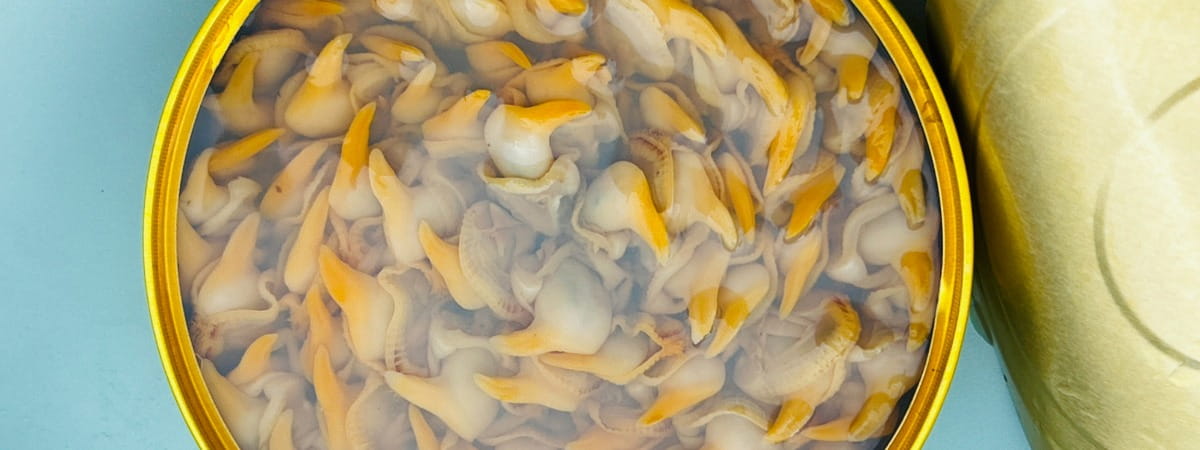 Shop Oysters, Cockles, Scallops & More | Ibérico Taste